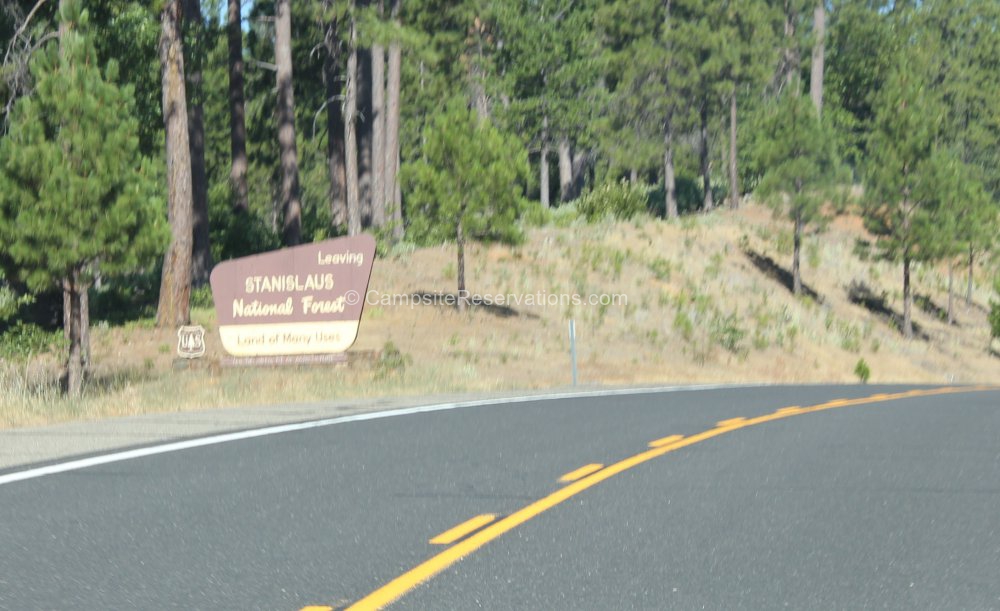 Stanislaus National Forest, California, United States