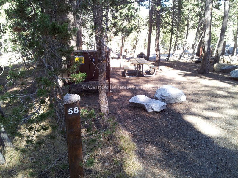 Photo of Campsite 56 in White Wolf Campground at Yosemite National Park ...