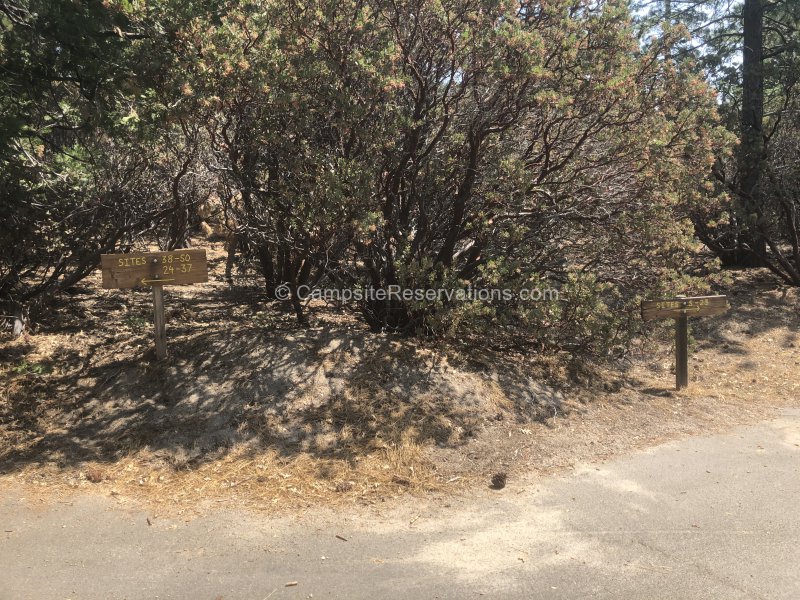 Stone Creek Campground at Mount San Jacinto State Park, California ...