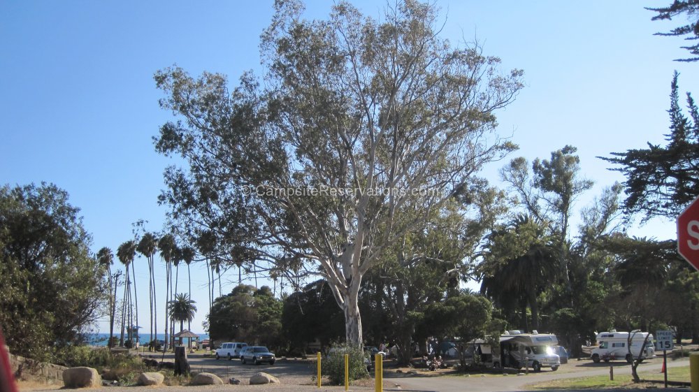 Refugio State Beach at Refugio State Beach, California, United States
