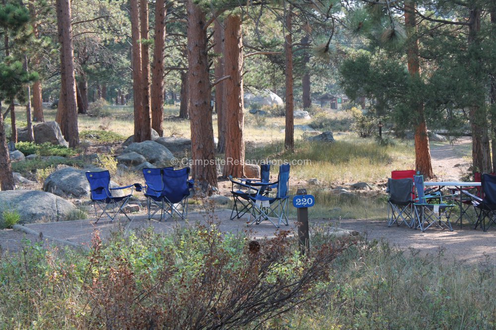 Photo of Campsite 220 in Moraine Park Campground at Rocky Mountain ...