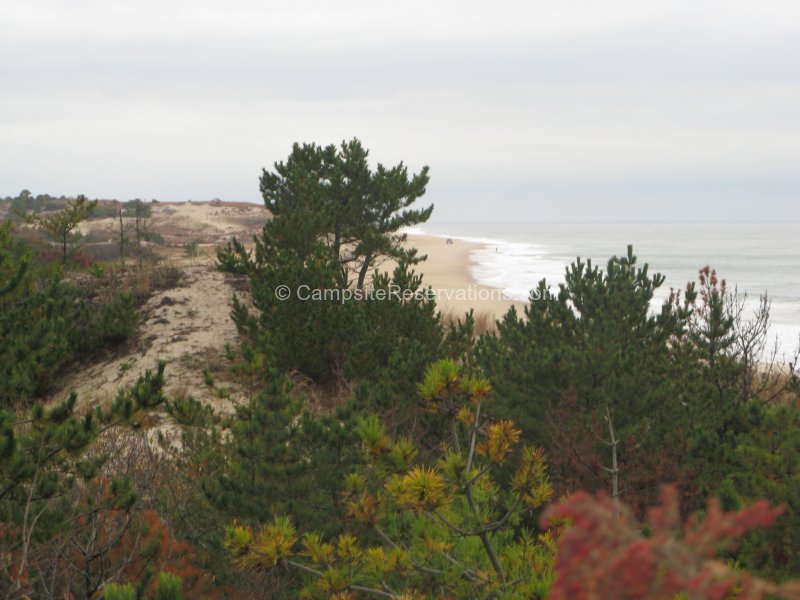 Cape Henlopen State Park, Delaware, United States