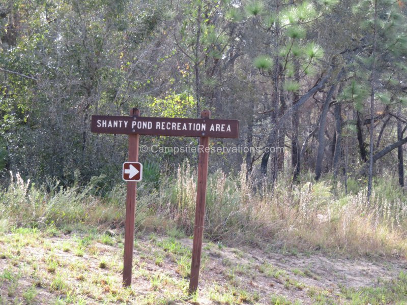 Shanty Pond Campground at Ocala National Forest, Florida, United States