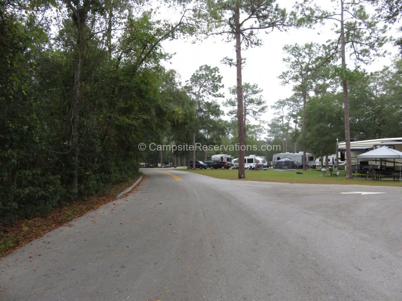 Salt Springs Campground at Ocala National Forest, Florida, United States