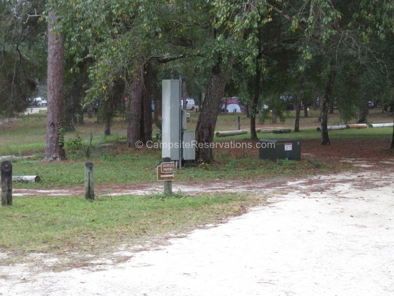 Salt Springs Campground at Ocala National Forest, Florida, United States