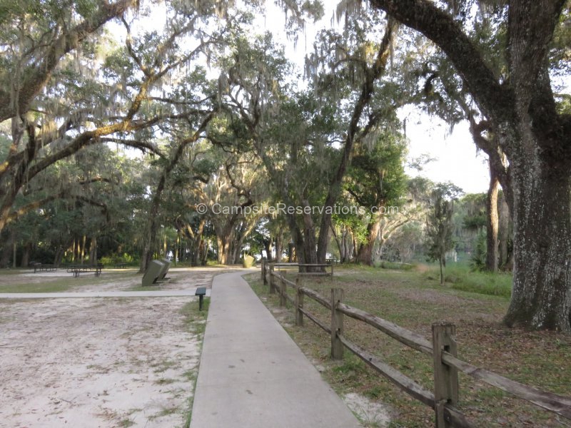 Salt Springs Campground at Ocala National Forest, Florida, United States