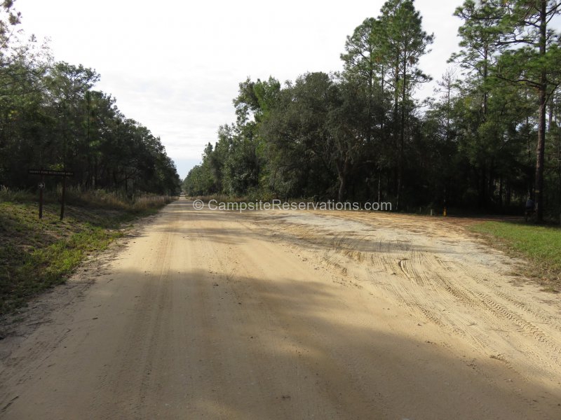 Shanty Pond Campground at Ocala National Forest, Florida, United States