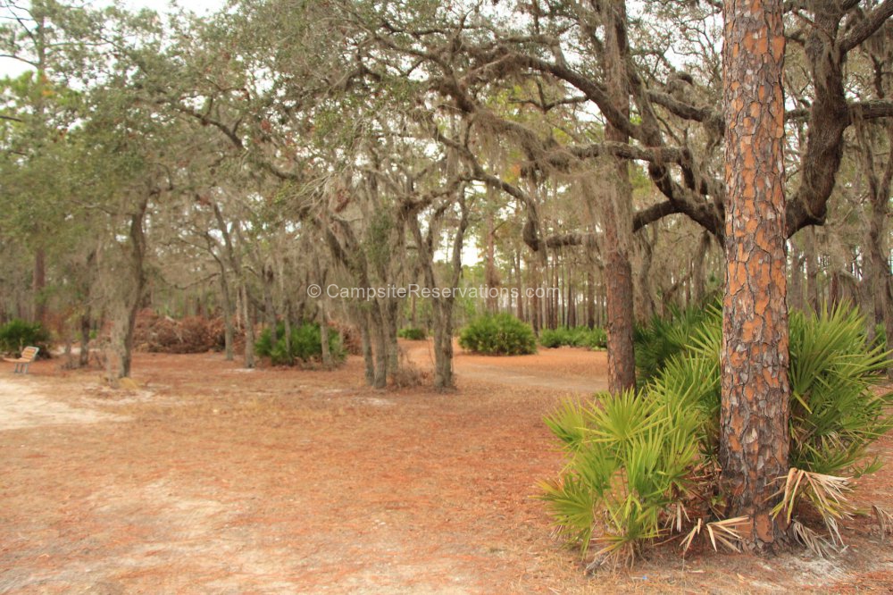 Faver-Dykes State Park, Florida, United States