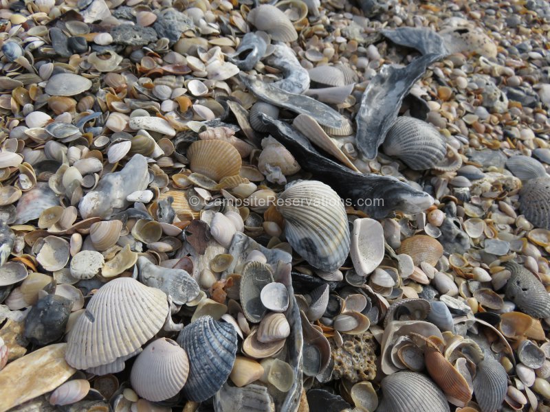 Atlantic Beach Campground at Fort Clinch State Park, Florida, United States
