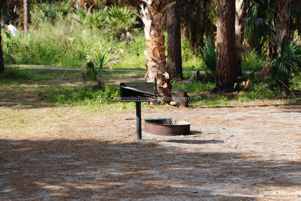 Photo of Campsite 110 in River Campground at Jonathan Dickinson State ...