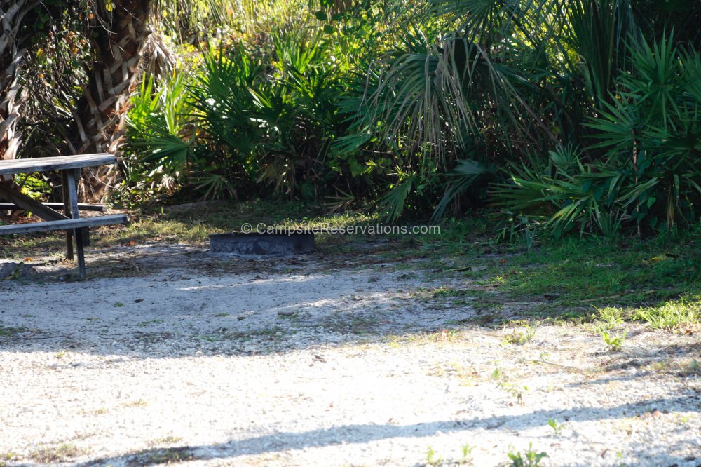 Photo of Campsite 56 in Scrub Oak at Koreshan State Historic Site ...