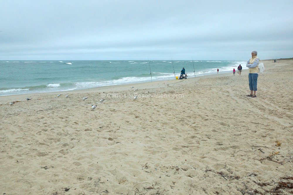 Sebastian Inlet State Park, Florida, United States