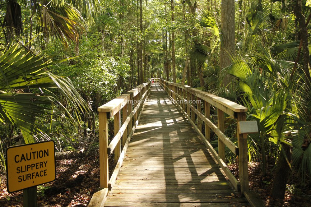 Silver Springs State Park, Florida, United States