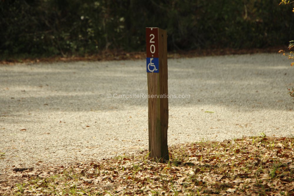 Photo of Campsite 20 in Silver Springs State Park Campground at Silver ...