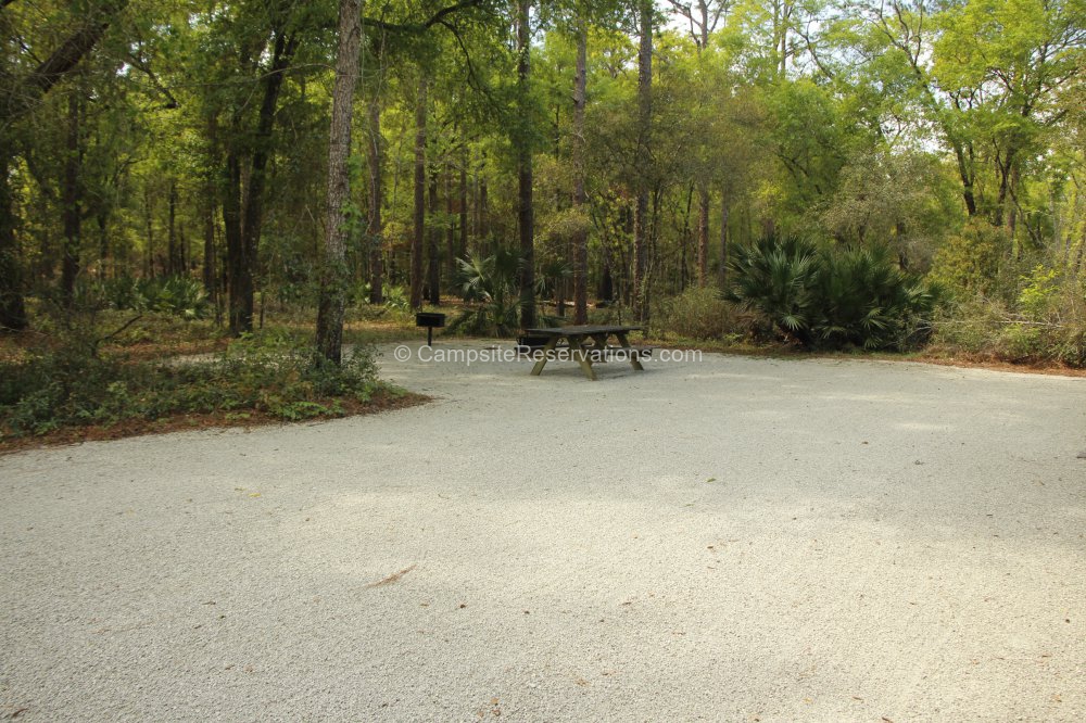 Photo of Campsite 20 in Silver Springs State Park Campground at Silver ...