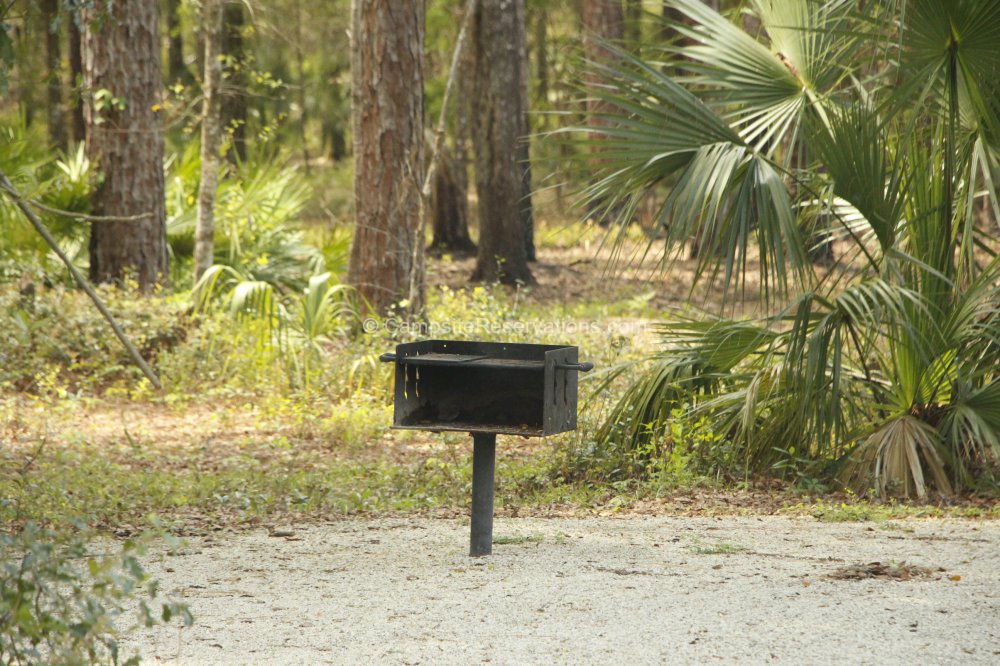 Photo of Campsite 20 in Silver Springs State Park Campground at Silver ...