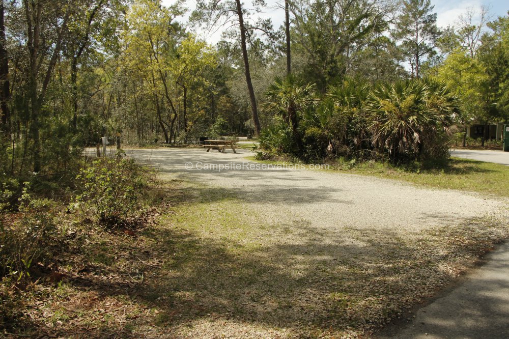 Photo of Campsite 52 in Silver Springs State Park Campground at Silver ...