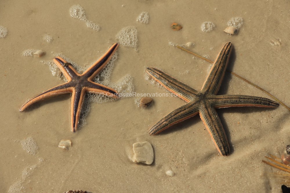St. Andrews State Park, Florida, United States