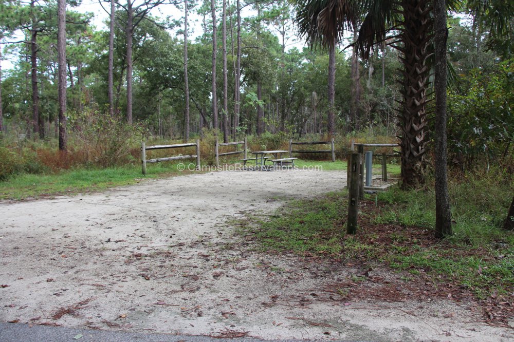 Campsite 03 in Wekiwa Springs State Park Campground at Wekiwa Springs ...