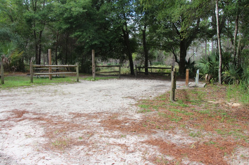 Campsite 15 in Wekiwa Springs State Park Campground at Wekiwa Springs ...