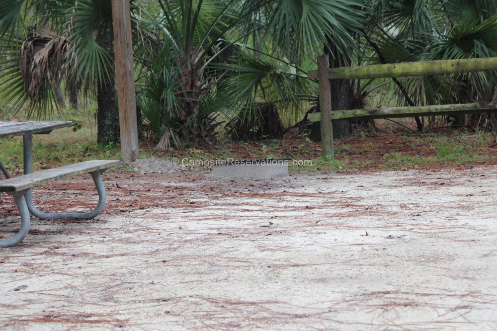 Campsite 24 in Wekiwa Springs State Park Campground at Wekiwa Springs ...