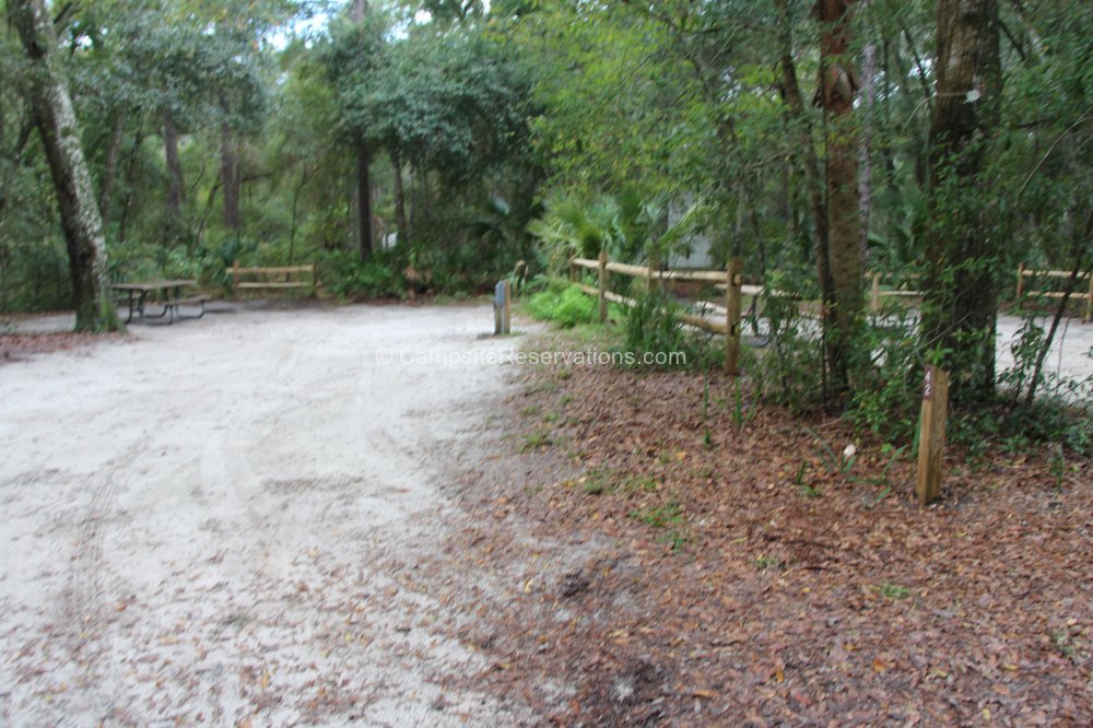 Campsite 42 in Wekiwa Springs State Park Campground at Wekiwa Springs ...