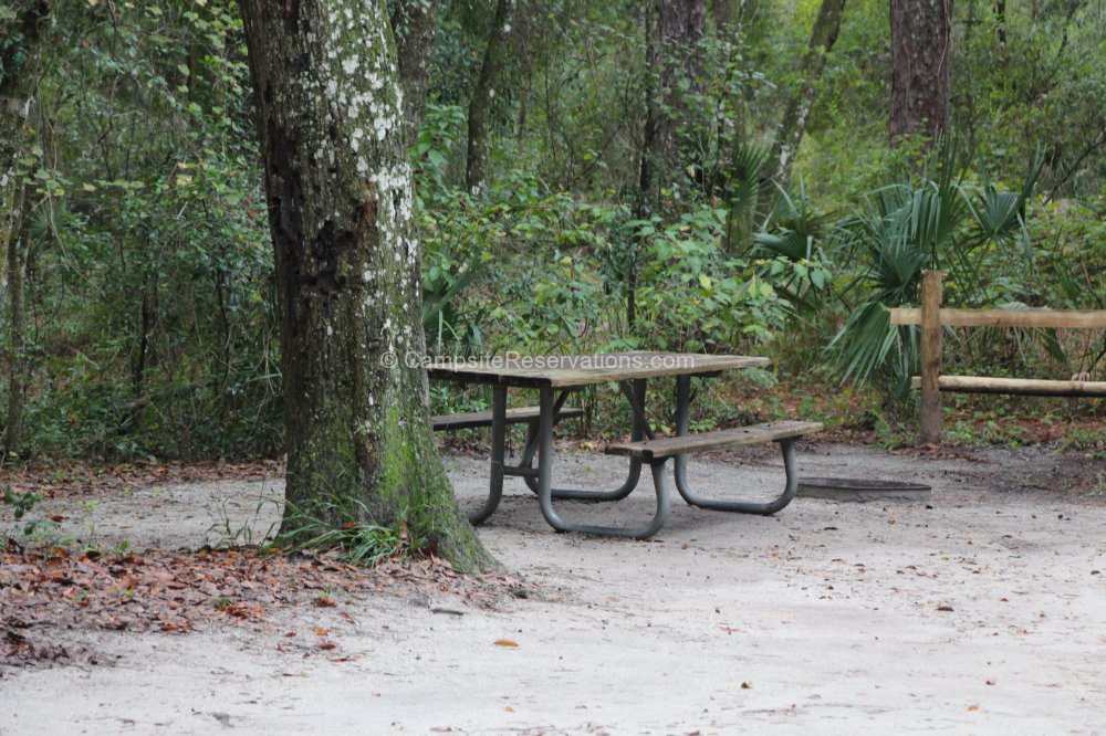 Campsite 42 in Wekiwa Springs State Park Campground at Wekiwa Springs ...