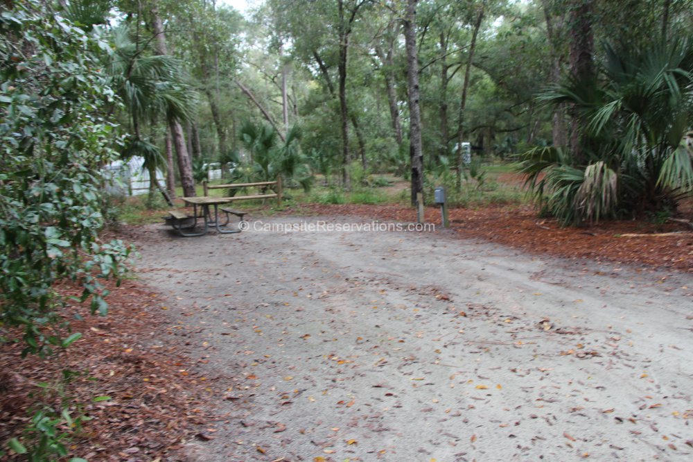 Campsite 59 in Wekiwa Springs State Park Campground at Wekiwa Springs ...