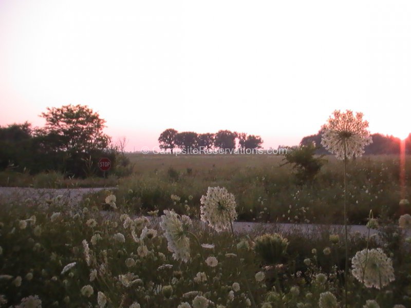 Weldon Springs State Park, Illinois, United States
