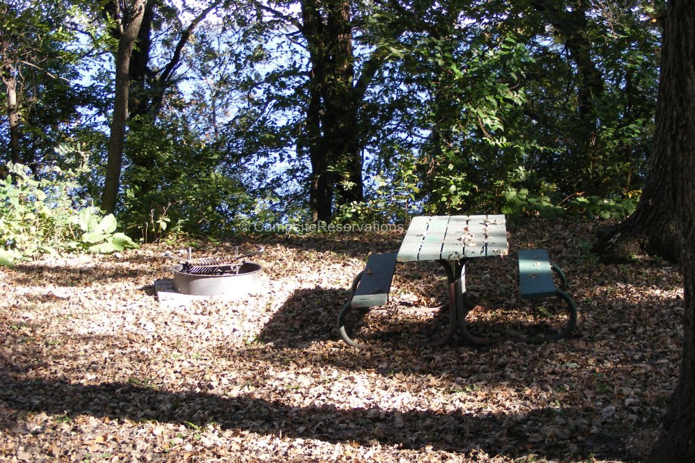 Campsite 126 in Marble Beach State Park Campground at Marble Beach ...