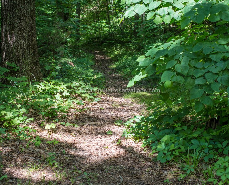 General Burnside State Park, Kentucky, United States
