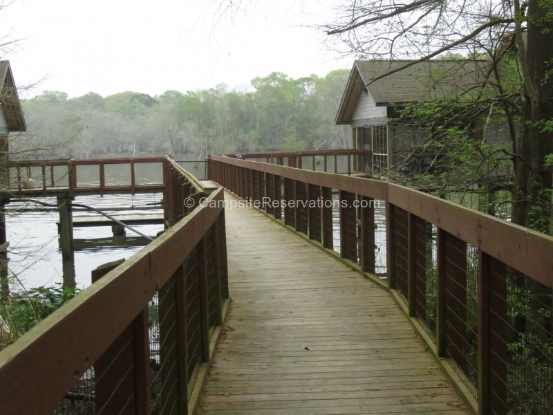Chicot State Park, Louisiana, United States