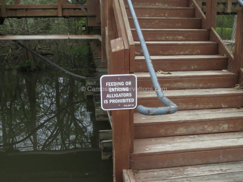 Chicot State Park, Louisiana, United States