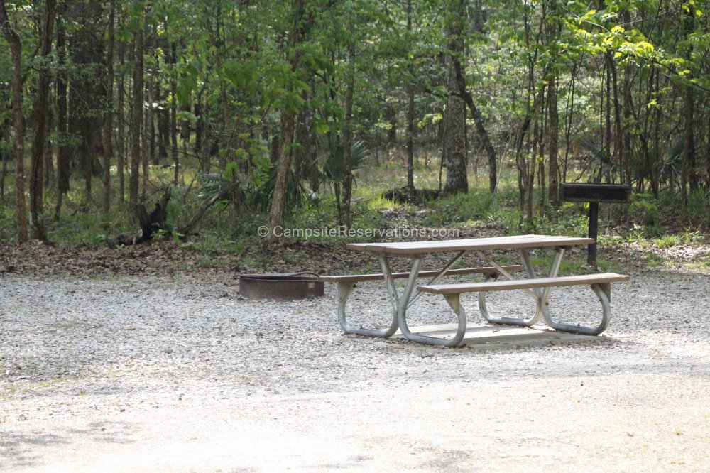 Campsite 044 in Chicot State Park Campground at Chicot State Park ...