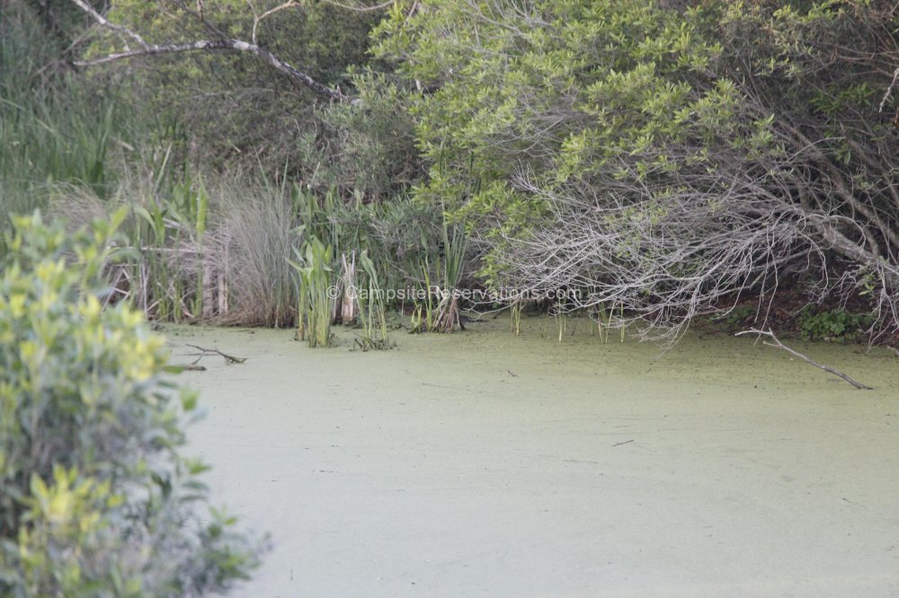 Photo of Cypremort Point State Park, Louisiana, United States