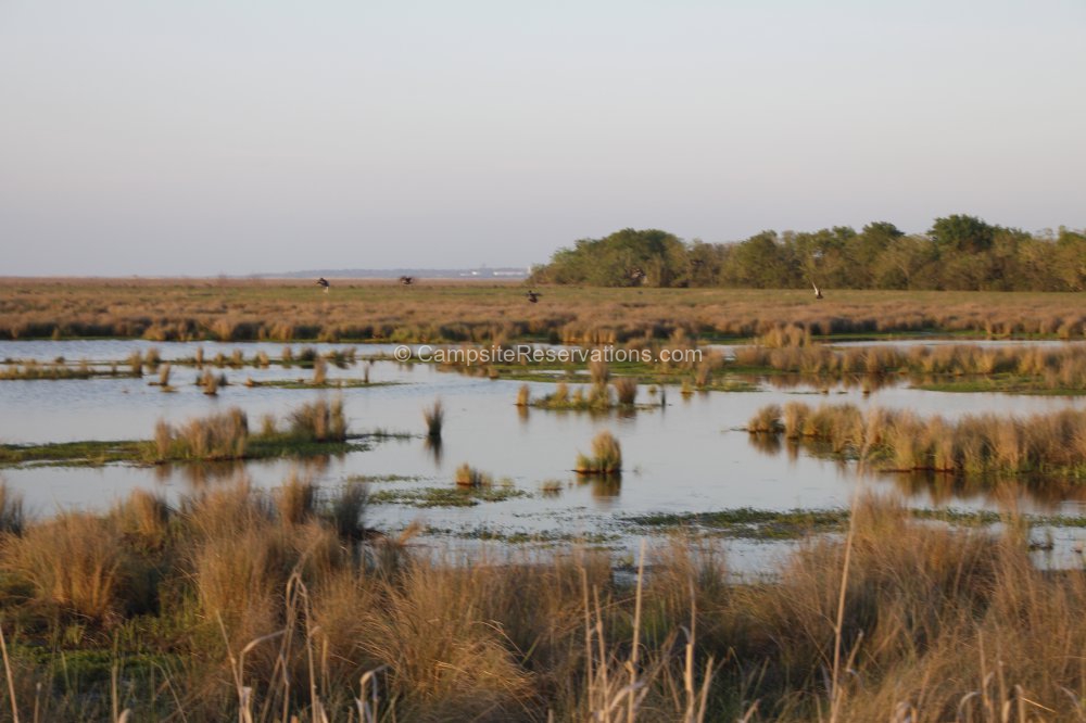 Cypremort Point State Park, Louisiana, United States