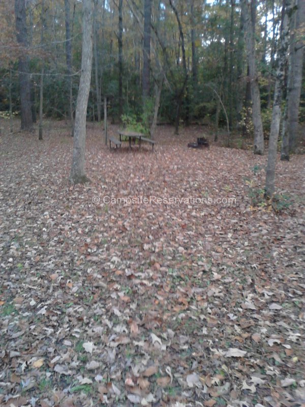 Martinak State Park Campground - A Loop at Martinak State Park ...