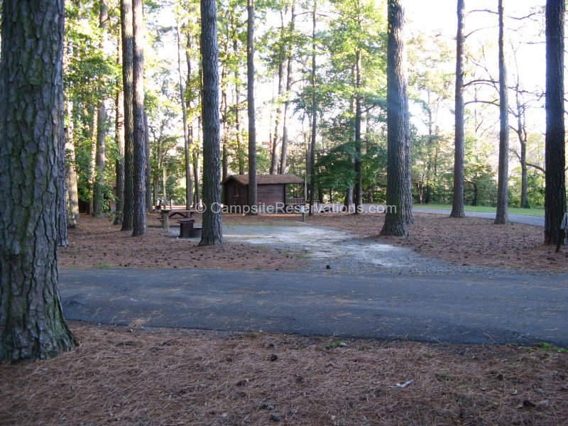 Milburn Landing Campground at Pocomoke River State Park, Maryland ...