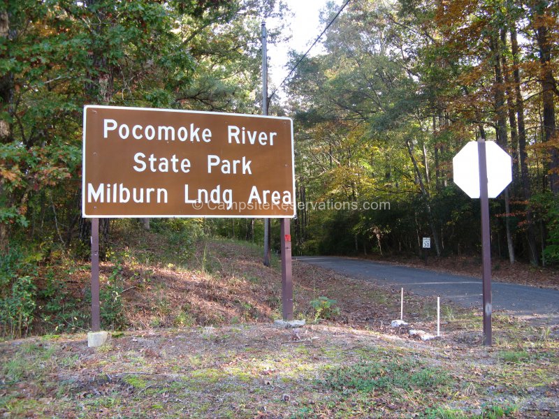 Milburn Landing Campground at Pocomoke River State Park, Maryland ...