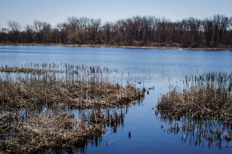 Bay City State Rec Area, Michigan, United States