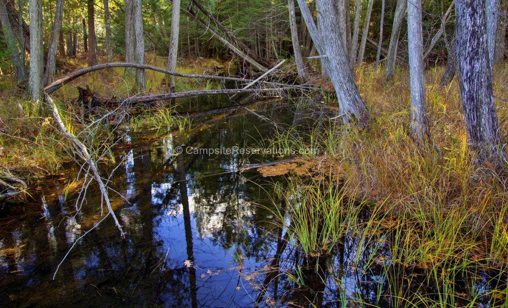 Campsite Reservations | Camping Reservations, Photos, Reviews, and ...