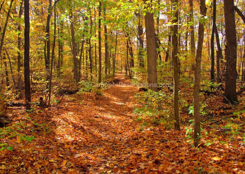 Campsite Reservations | Camping Reservations, Photos, Reviews, and ...