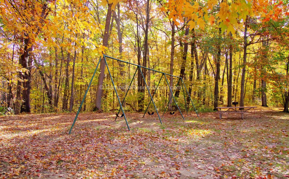 Campsite Reservations | Camping Reservations, Photos, Reviews, and ...