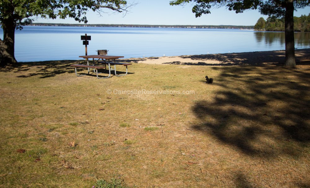 Photo of Mitchell State Park, Michigan, United States