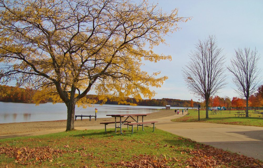 Photo of Seven Lakes State Park, Michigan, United States