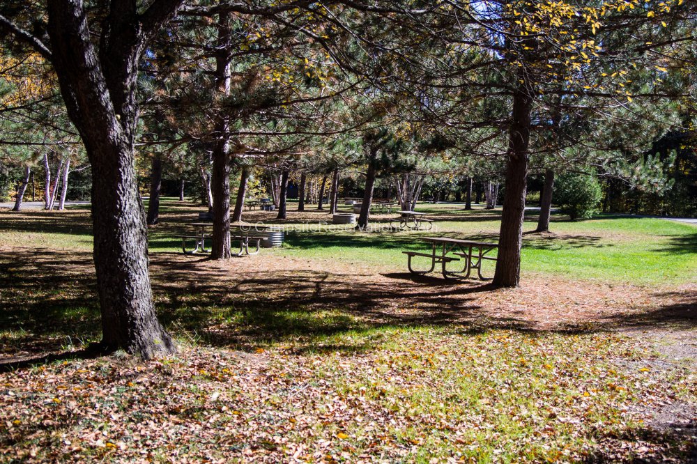 Rustic Campground at Van Riper State Park, Michigan, United States