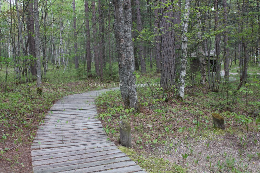 Photo of Campsite 02 in Twelvemile Beach Campground at Pictured Rocks ...