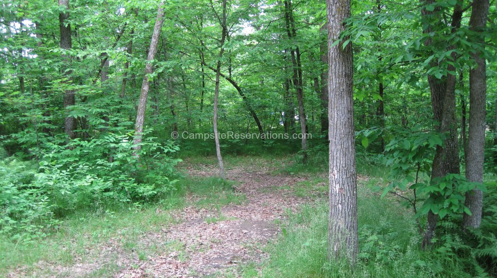 Campsite 211 in Pine Ridge Campground - Pine Loop at Itasca State Park ...