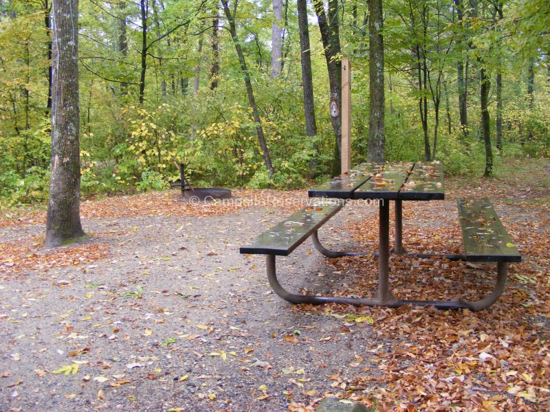 Campsite 213 in Pine Ridge Campground - Pine Loop at Itasca State Park ...