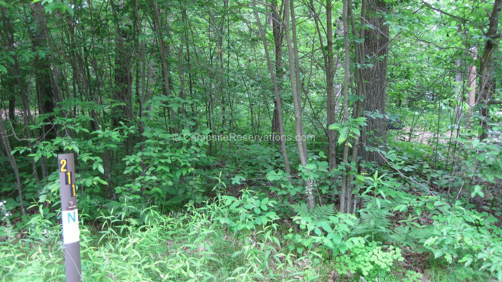 Campsite 211 in Pine Ridge Campground - Pine Loop at Itasca State Park ...